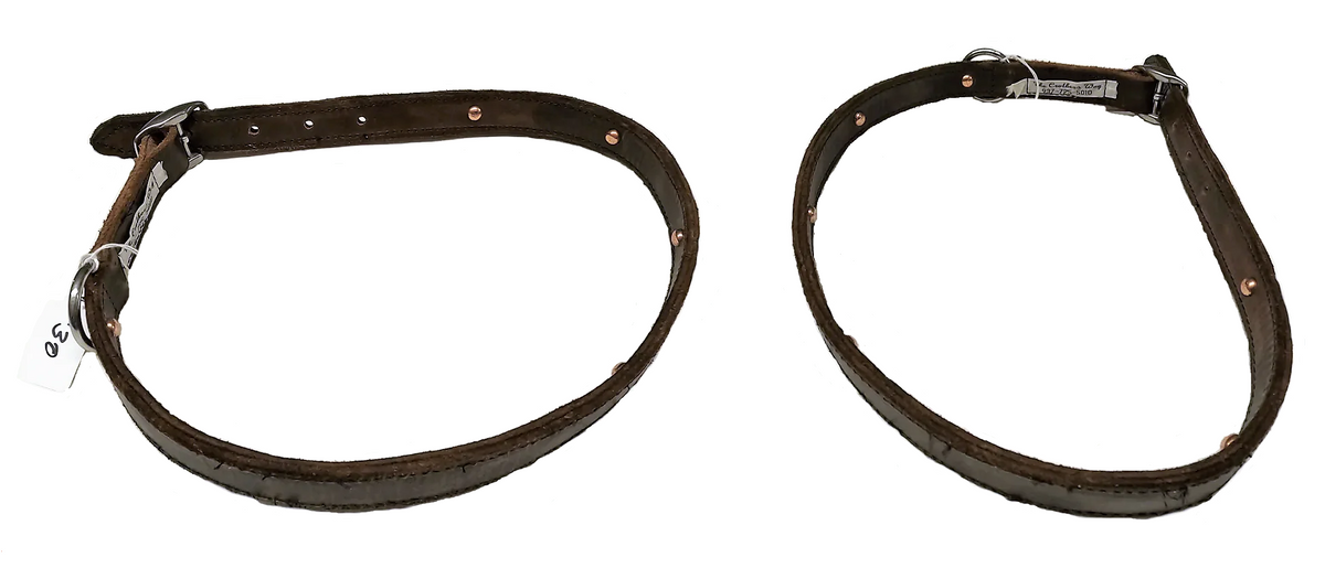 The Therapeutic Leather Cattle Collar – The Crothers Way